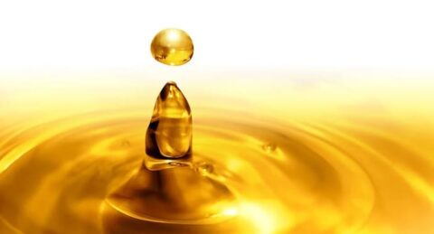Animal Tallow Oil - Buyers & Suppliers in India