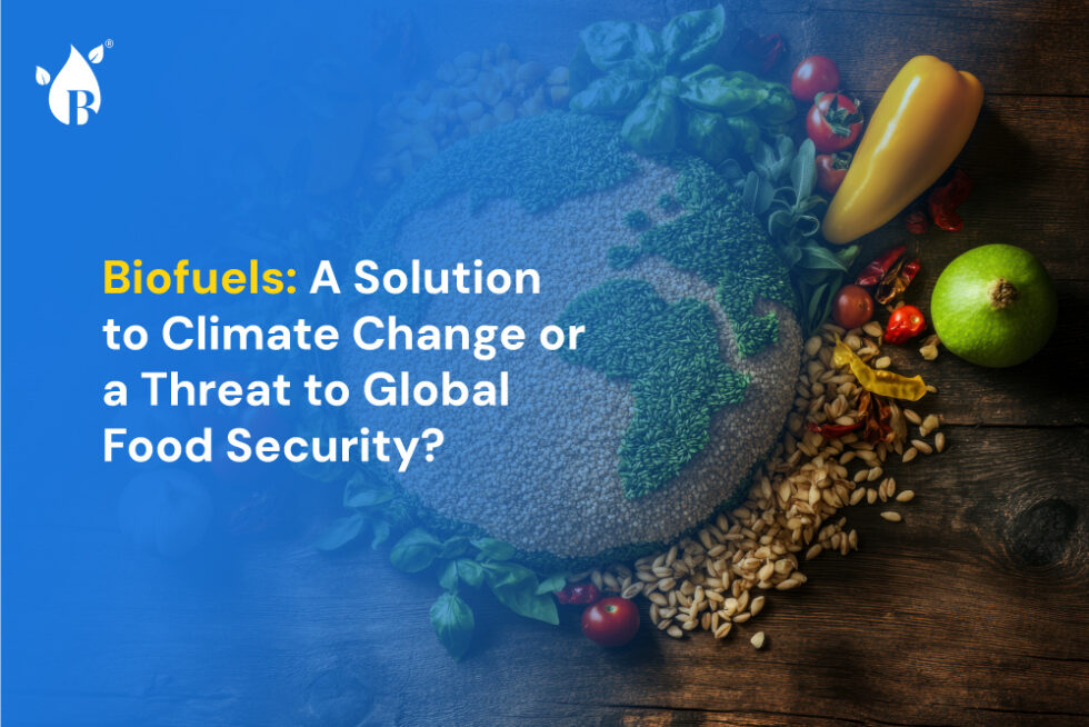 Biofuels: A Solution to Climate Change or a Threat to Global Food ...