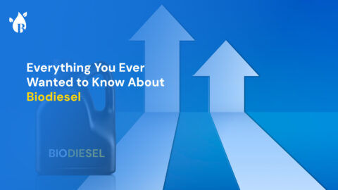 Everything You Ever Wanted to Know About Biodiesel - Buyofuel
