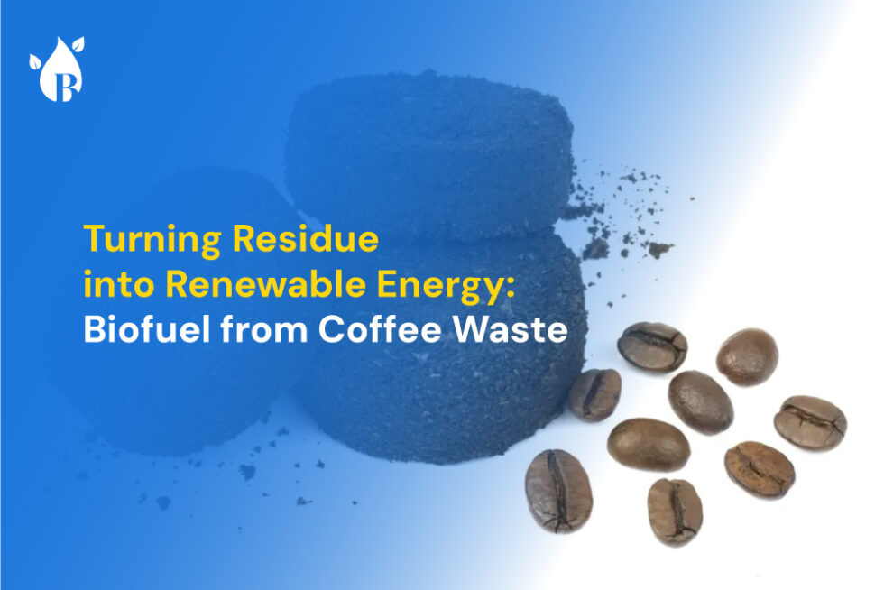 Turning Residue into Renewable Energy: Biofuel from Coffee Waste - Buyofuel