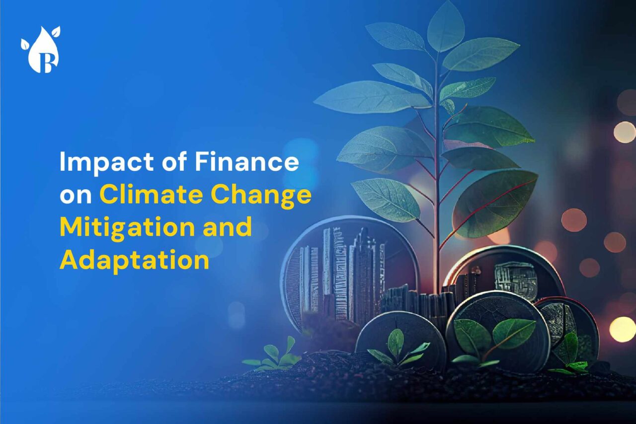 Impact of Finance on Climate Change Mitigation and Adaptation - Buyofuel