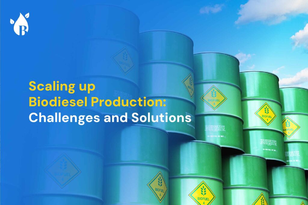 Scaling up Biodiesel Production: Challenges and Solutions for ...