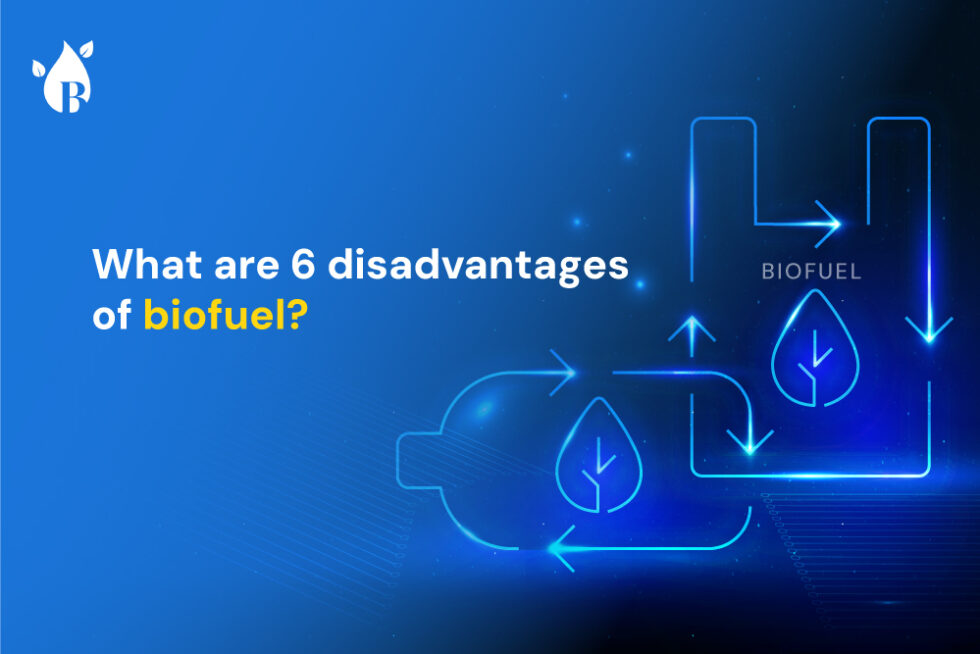 What are 6 disadvantages of biofuel? - Buyofuel