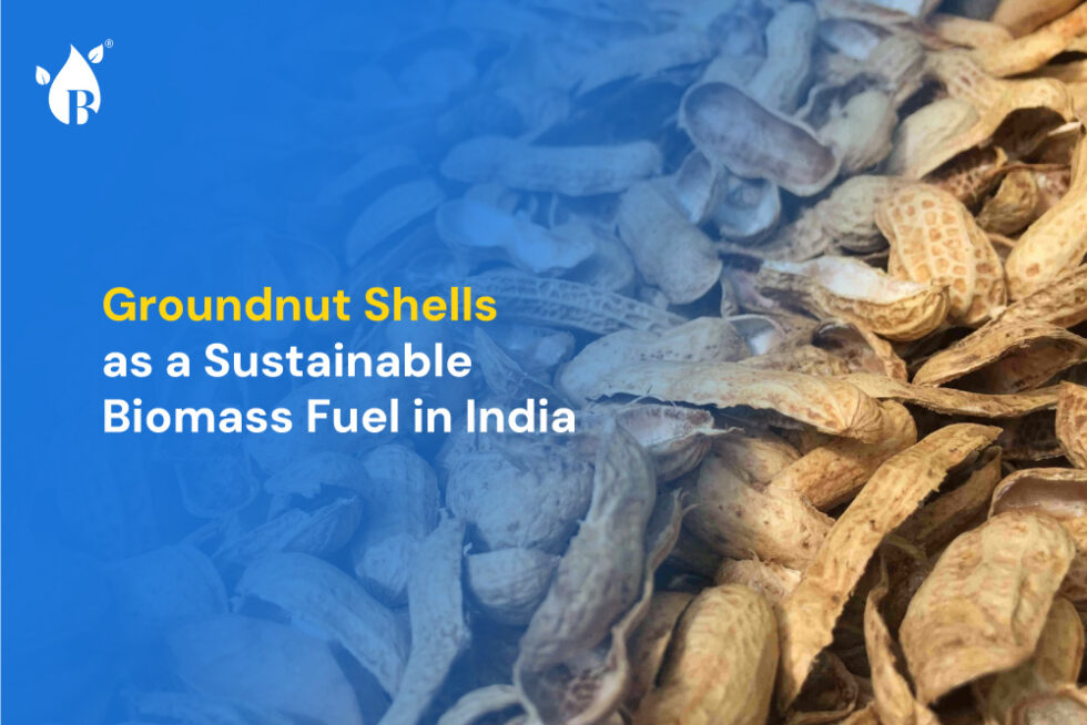 Groundnut Shells as a Sustainable Biomass Fuel in India - Buyofuel