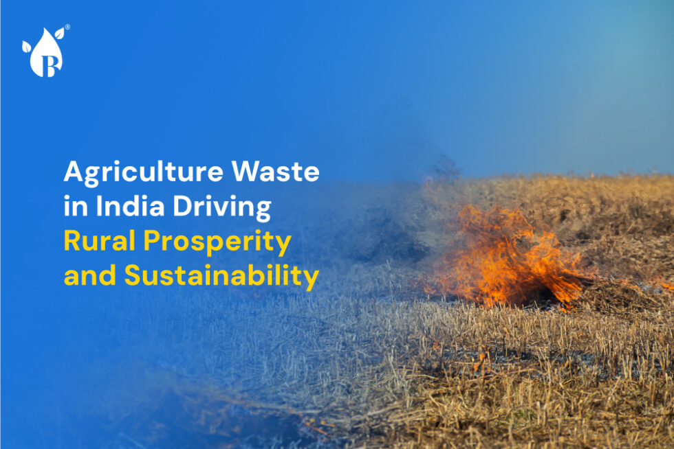 Agriculture Waste in India Driving Rural Prosperity and Sustainability ...